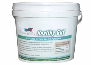 Healthy Gut Powder